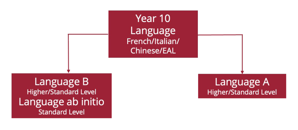 Languages Faculty - Prince Alfred College