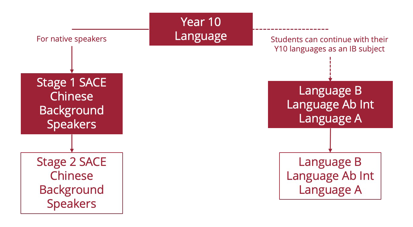 Languages Faculty - Prince Alfred College
