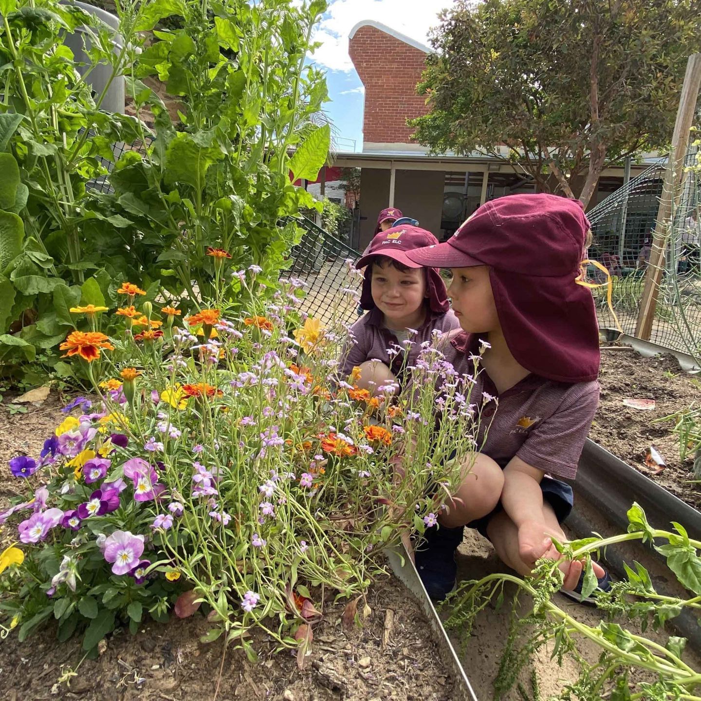 Early Learning Centre - Prince Alfred College