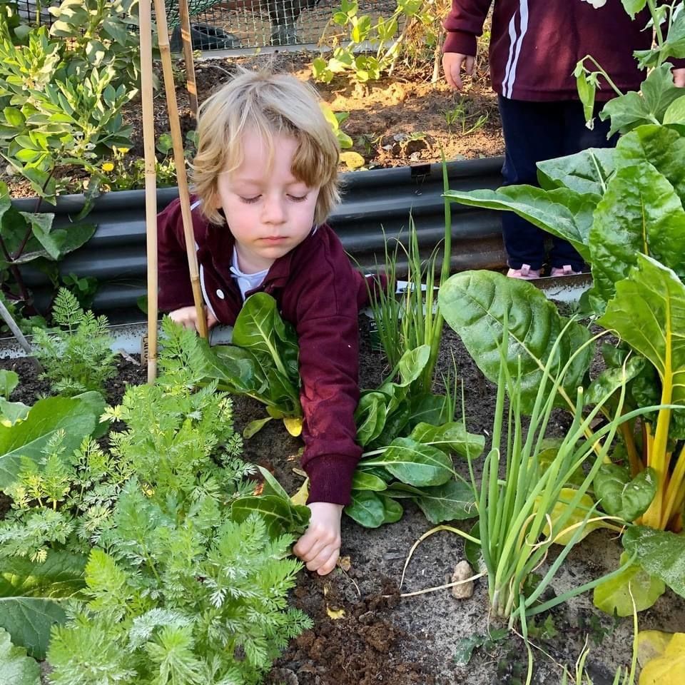Early Learning Centre - Prince Alfred College