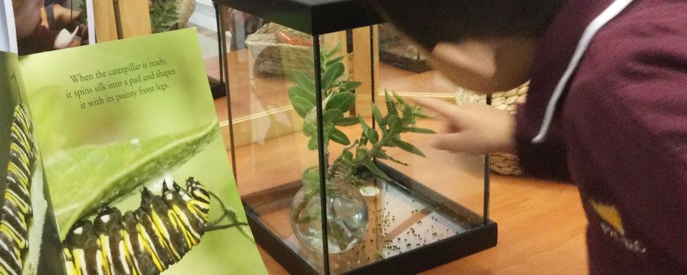 ELC Update - Prince Alfred College