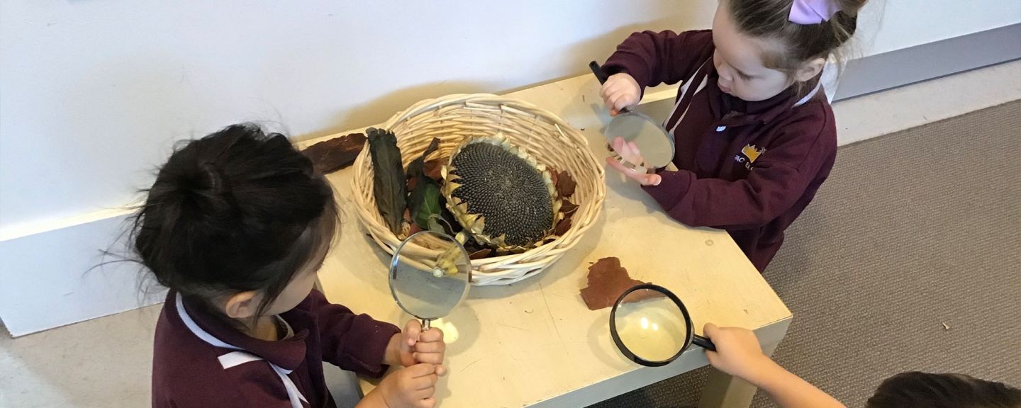 ELC Update - Prince Alfred College