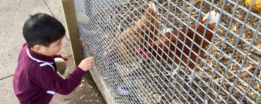 ELC Update - Prince Alfred College