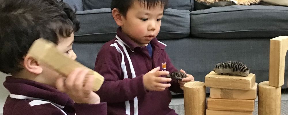 ELC Update - Prince Alfred College