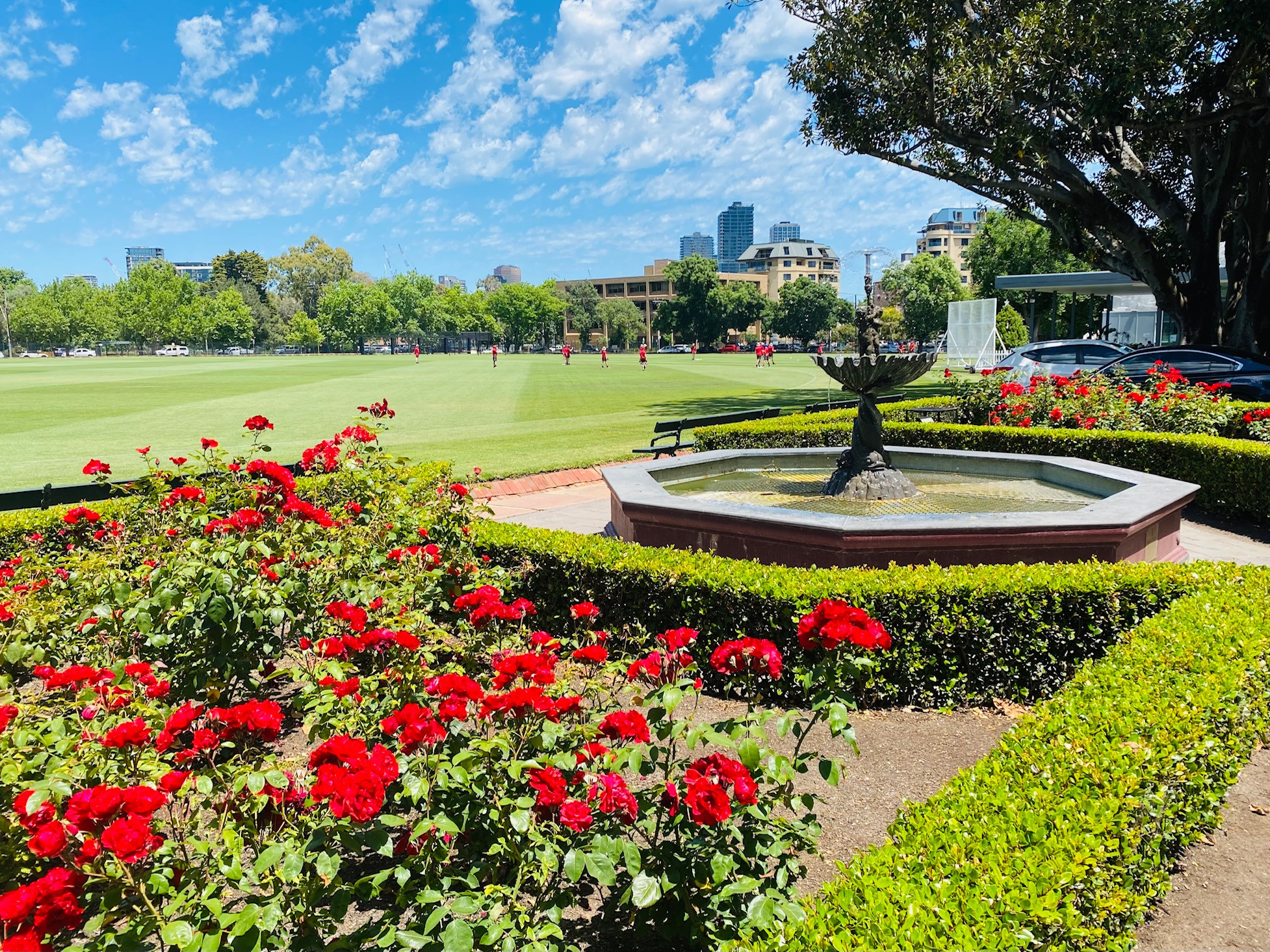 College Communications - Prince Alfred College